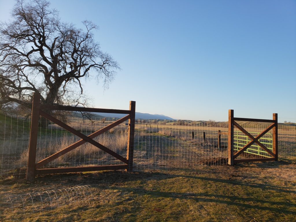 Deer Exclusion Fence Construction | Turned Earth